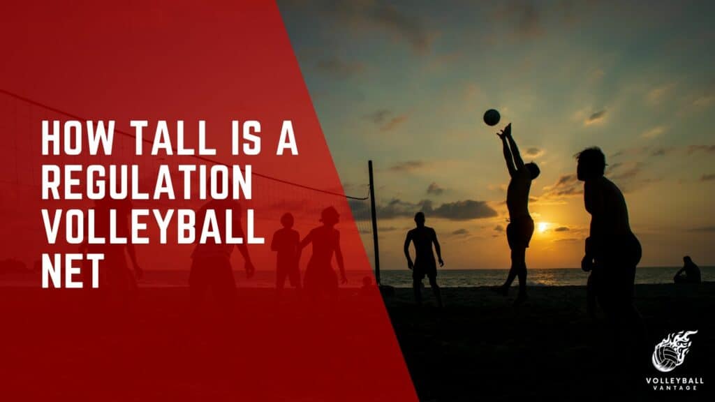 How Tall is a Regulation Volleyball Net: Heights Explained - Volleyball ...