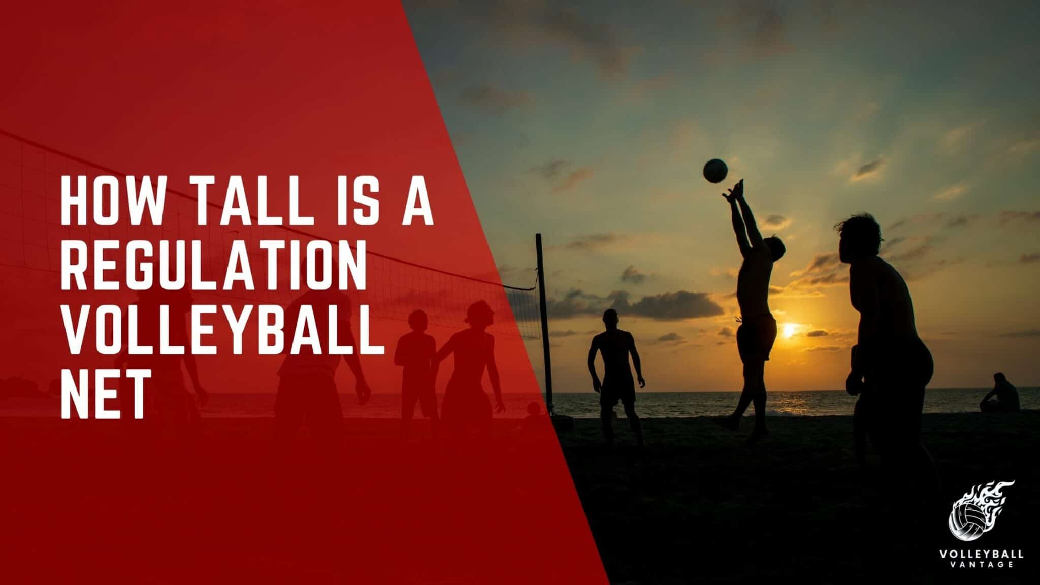 How Tall is a Regulation Volleyball Net: Heights Explained - Volleyball ...