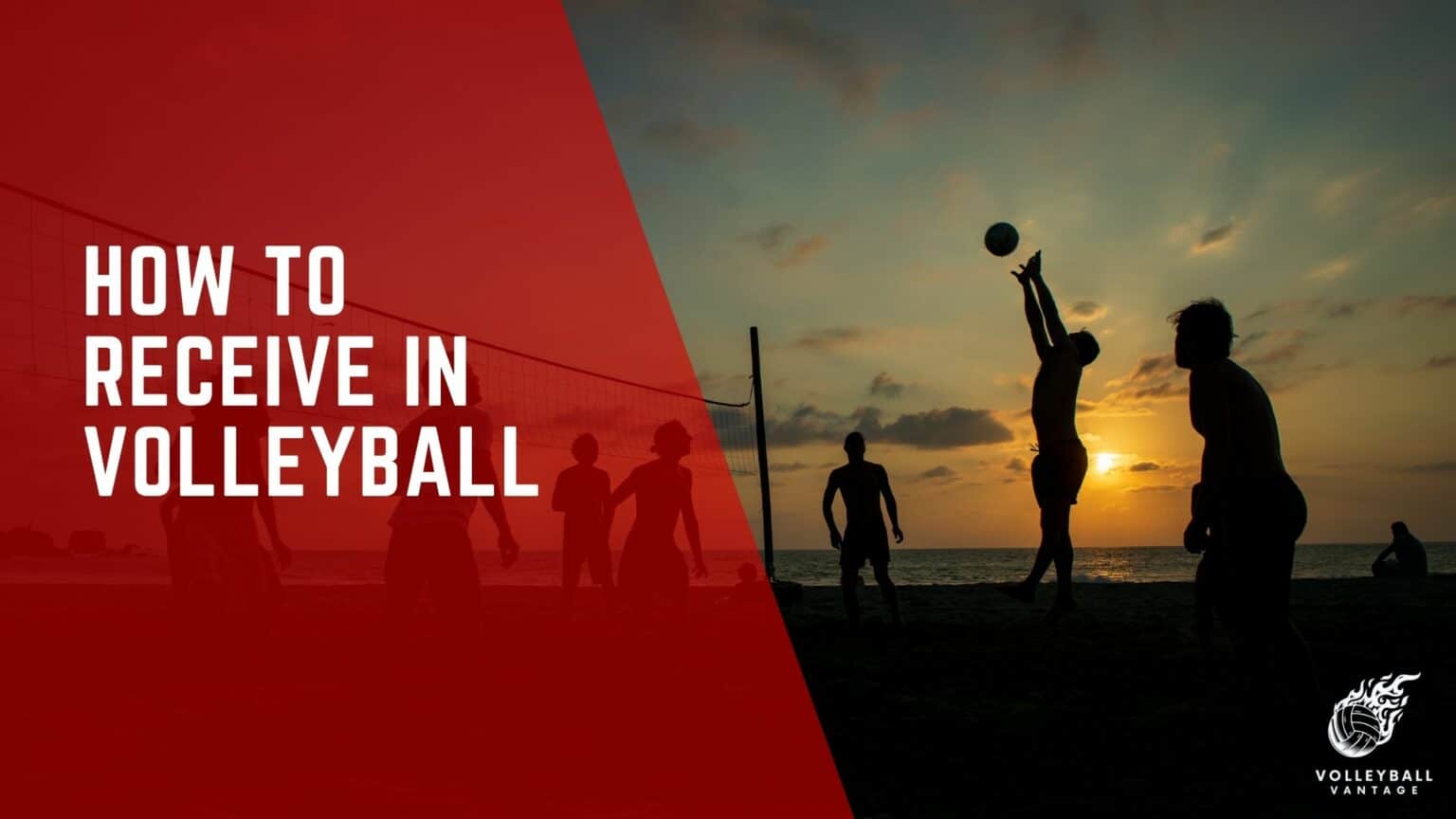 Perfecting Your Skills: How to Receive in Volleyball - Volleyball Vantage