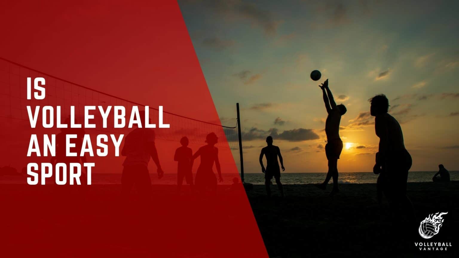 Is Volleyball an Easy Sport? Exploring the Game's Challenges ...