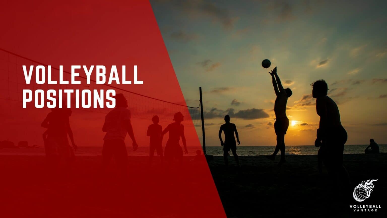 Exploring Volleyball Positions for Enhanced Team Performance ...