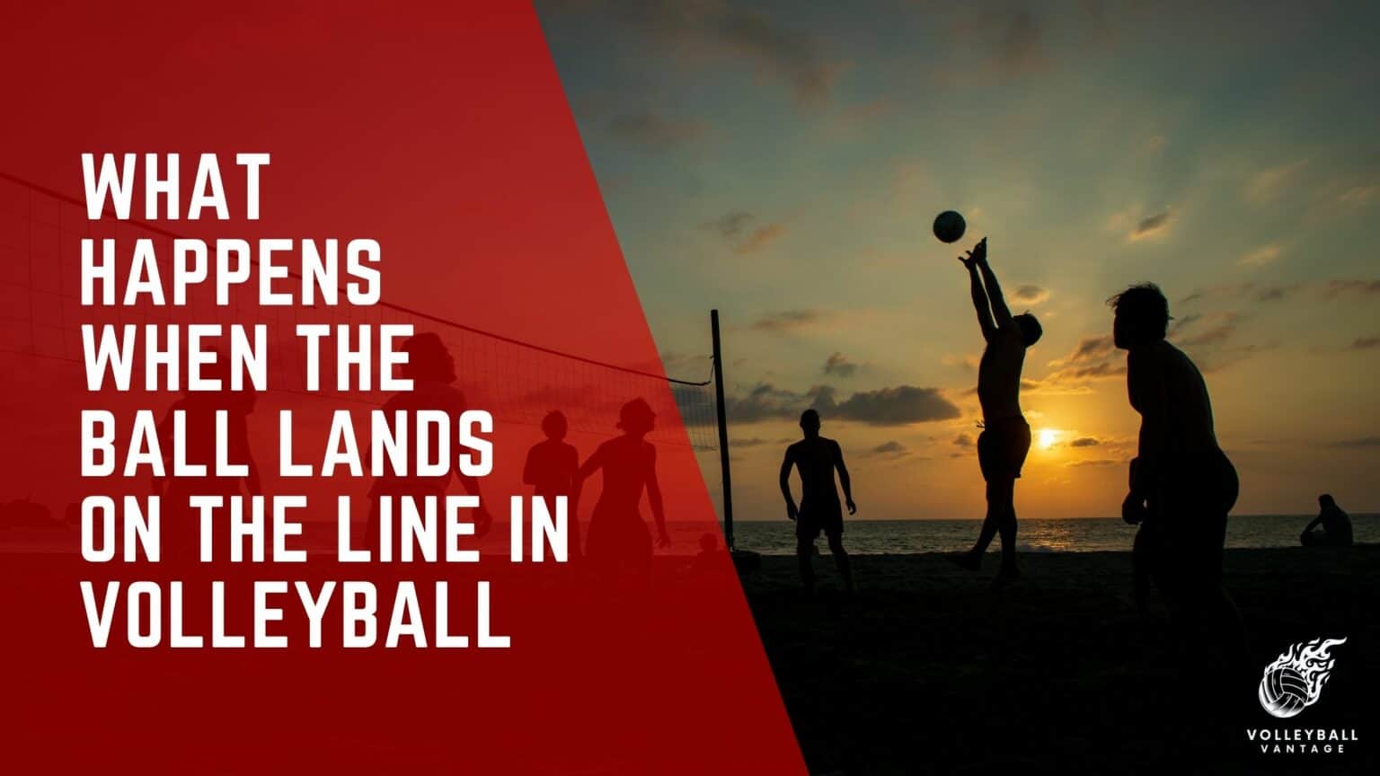What Happens When the Ball Lands on the Line in Volleyball ...