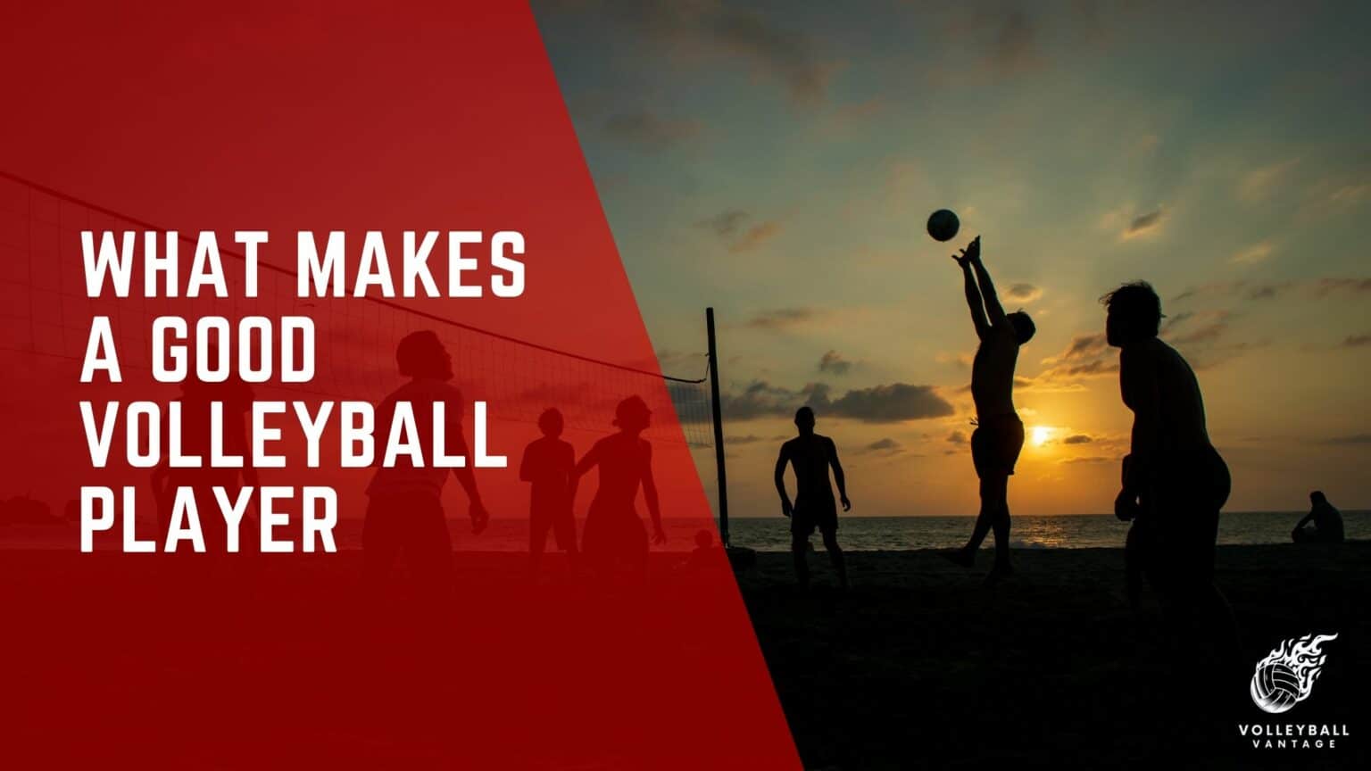 What Makes a Good Volleyball Player: Key Skills and Roles - Volleyball ...